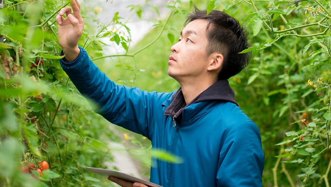 Gestión del CO₂ – Shell Lubricant Solutions | Shell España